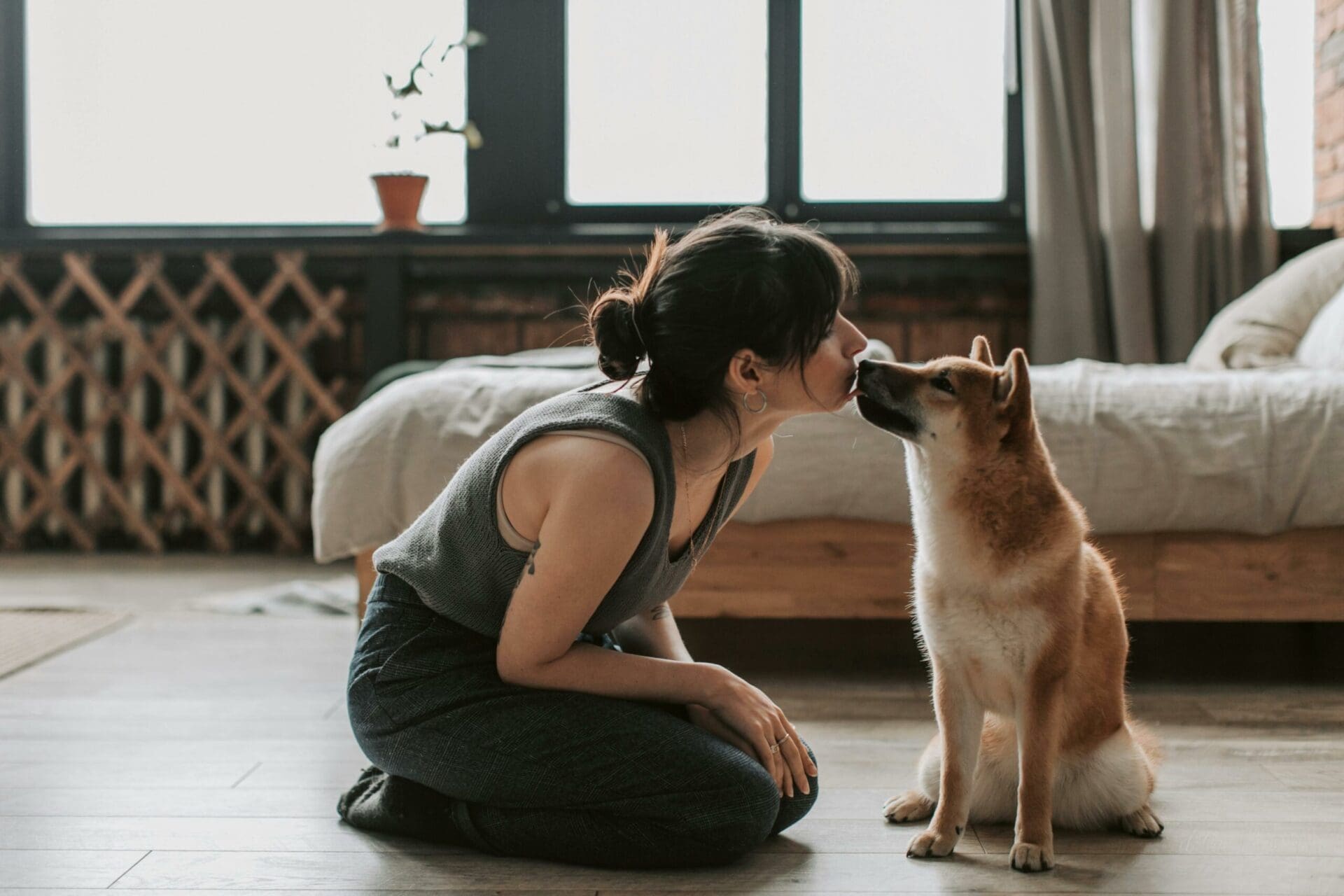 The 6 Incredible Powers of Dogs That Make Them Extraordinary